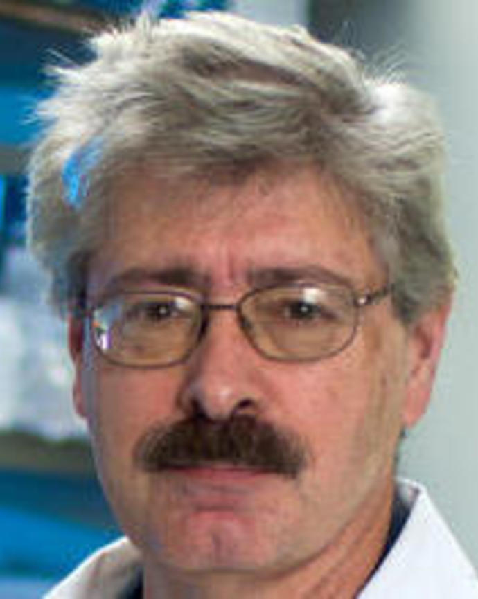 Faculty | PhD Program in Virology